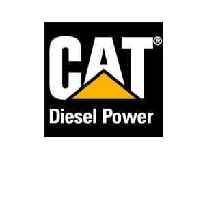 cat logo-300 - Skyline International